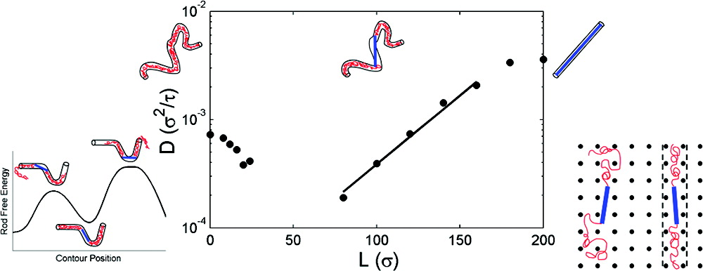 MW_diffusionrodcoil – Olsen Research Group