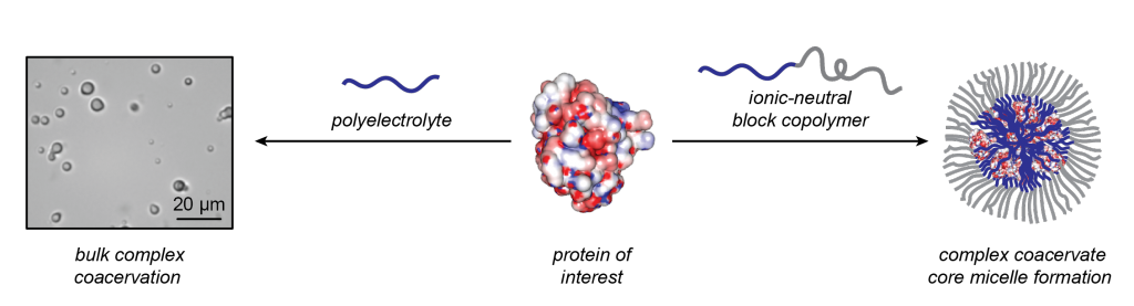Coacervates and Ionically Templated Assembly – Olsen Research Group