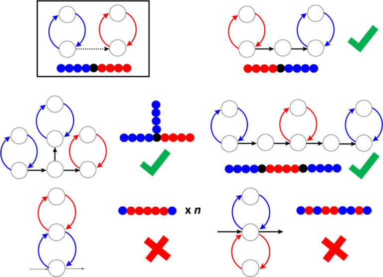 News (2021 – Present) – Olsen Research Group
